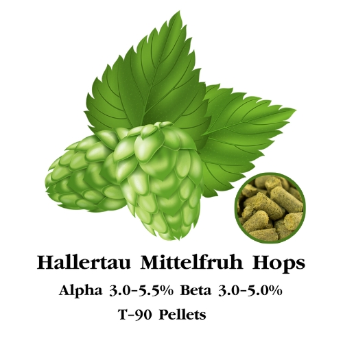Hallertau Mittelfrüh Hops (Pellet) – เฮอร์เลอทัว มิตเทลเฟิค ฮฮปส์ (เพล ...